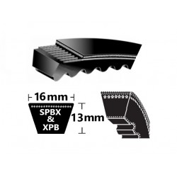 XPB/SPBX Section V-Belts - 16x13mm buy with delivery across the United ...